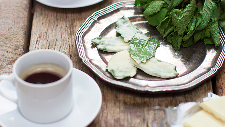 Chocolate Mint Plant Recipes
